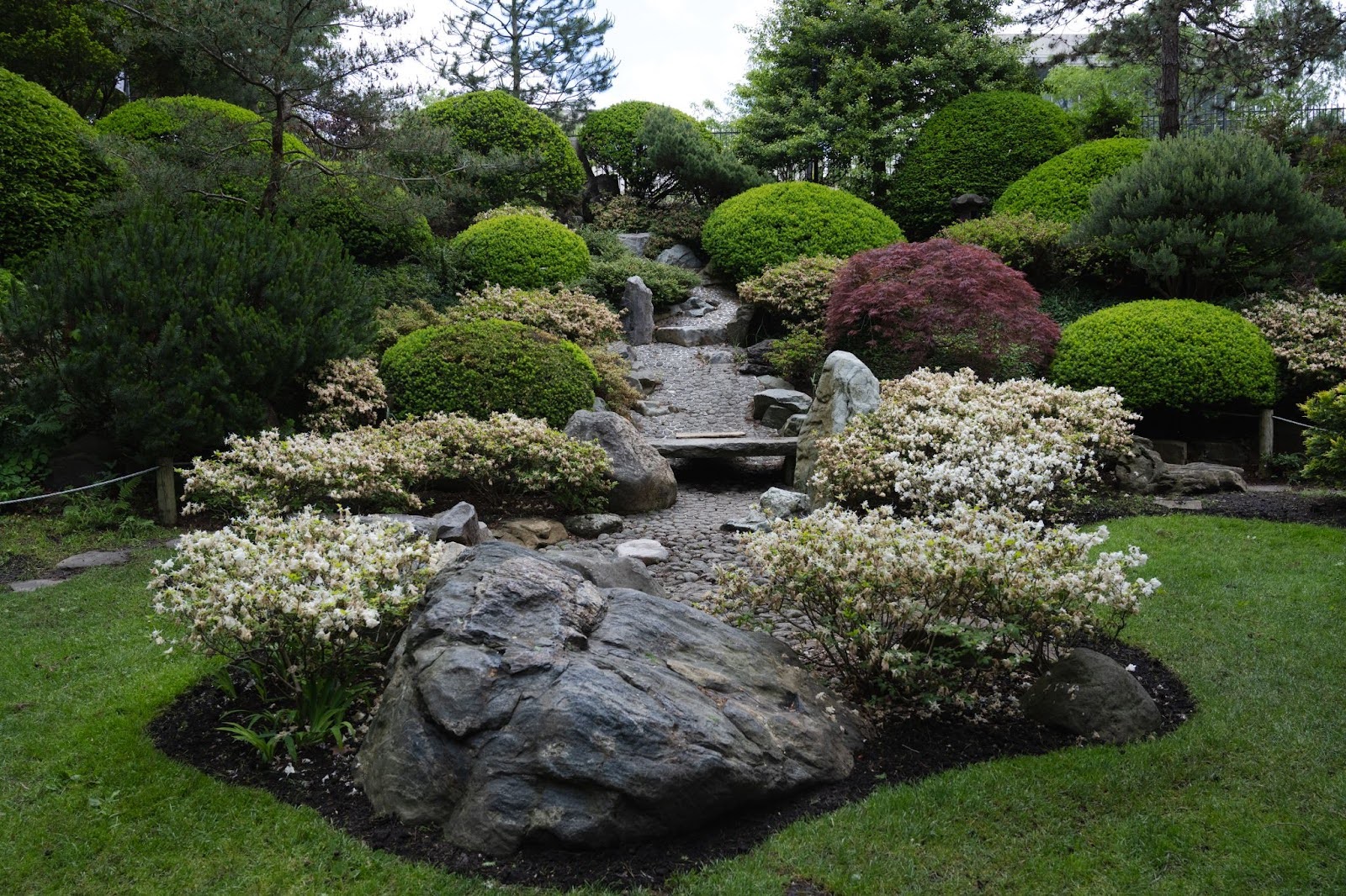Between water and stone, Cleveland Botanical Garden celebrating 50th ...