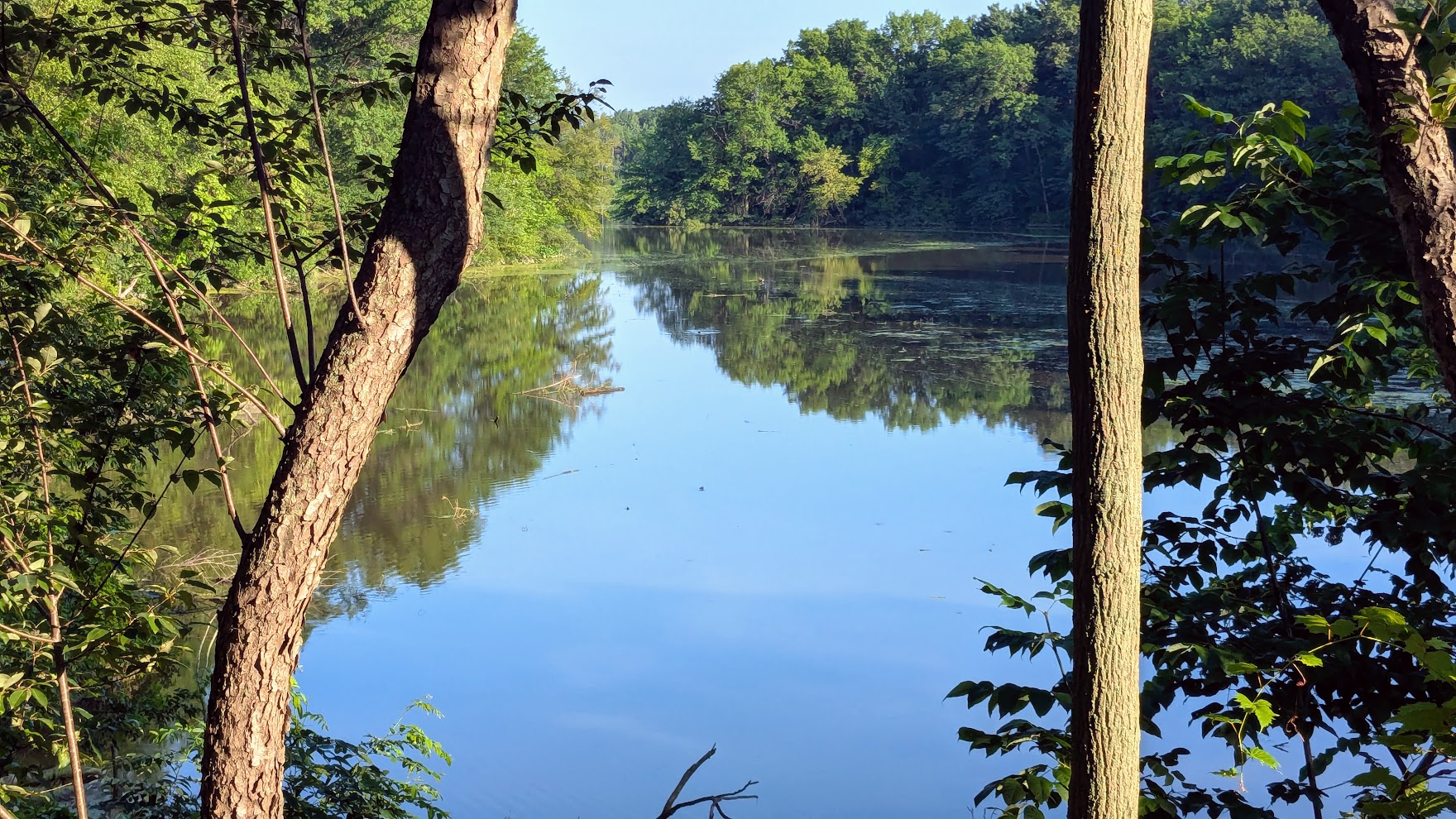 Lower Shaker Lakes dam removal proposal sparks debate, confusion – The Land