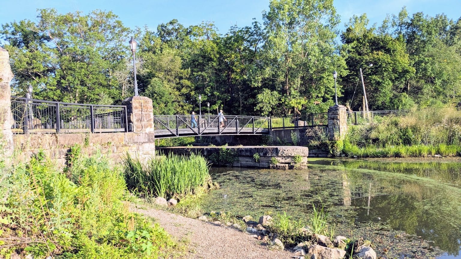 Lower Shaker Lakes dam removal proposal sparks debate, confusion – The Land