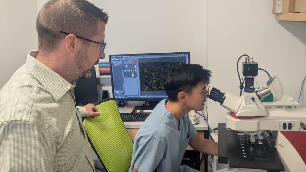 Cleveland researcher gets closer to new restorative treatment for ...