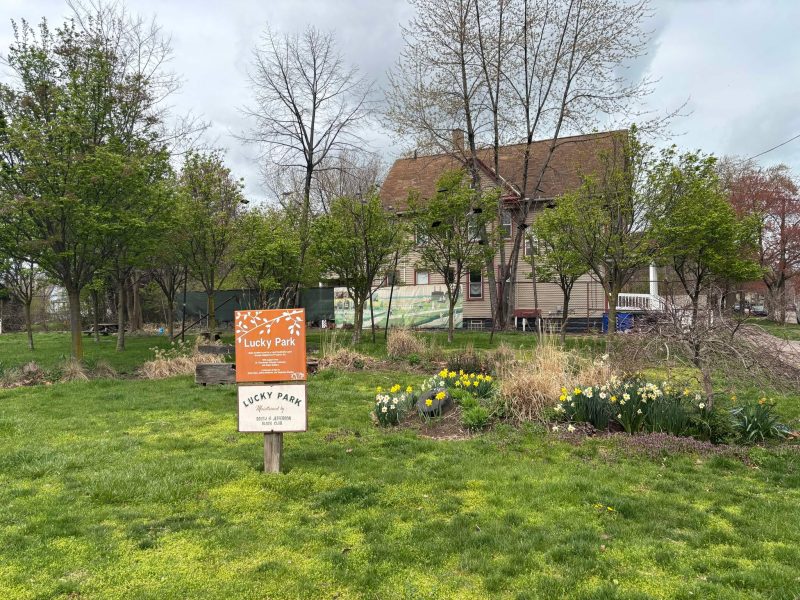Meijer Fairfax Market opens, bringing a full-service grocery store to the area for the first ...